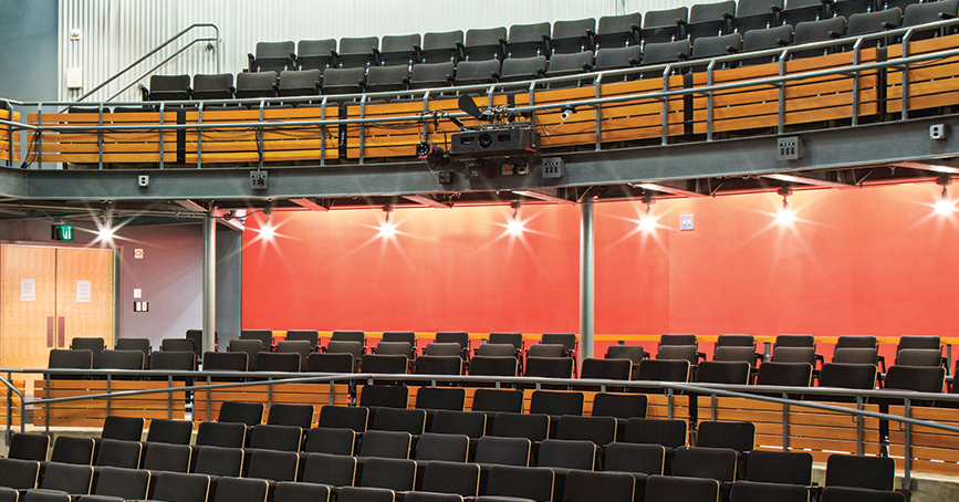 Company of Artists - Woolly Mammoth